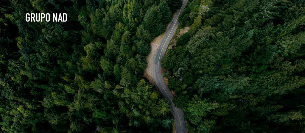 Grupo NAD - SHAD